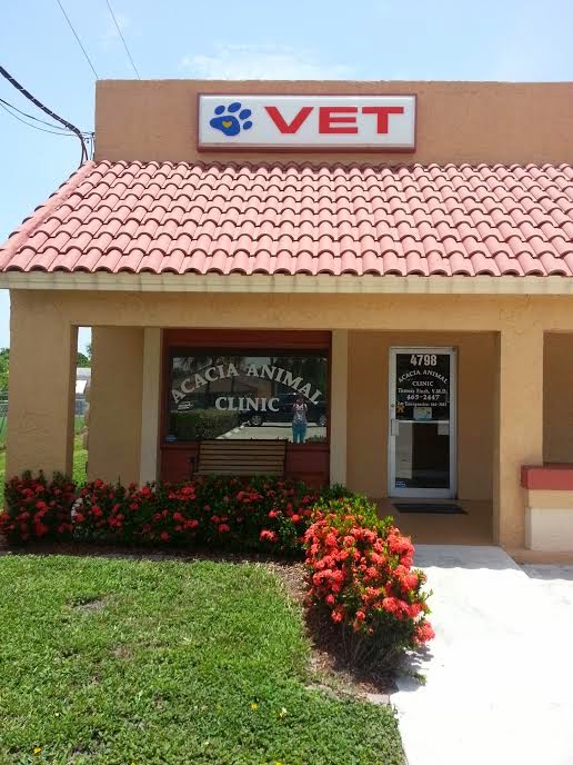 Acacia Animal Clinic – Pet Care in Fort Pierce | TopVet