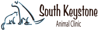 South Keystone Animal Clinic – Pet Care in Indianapolis | TopVet